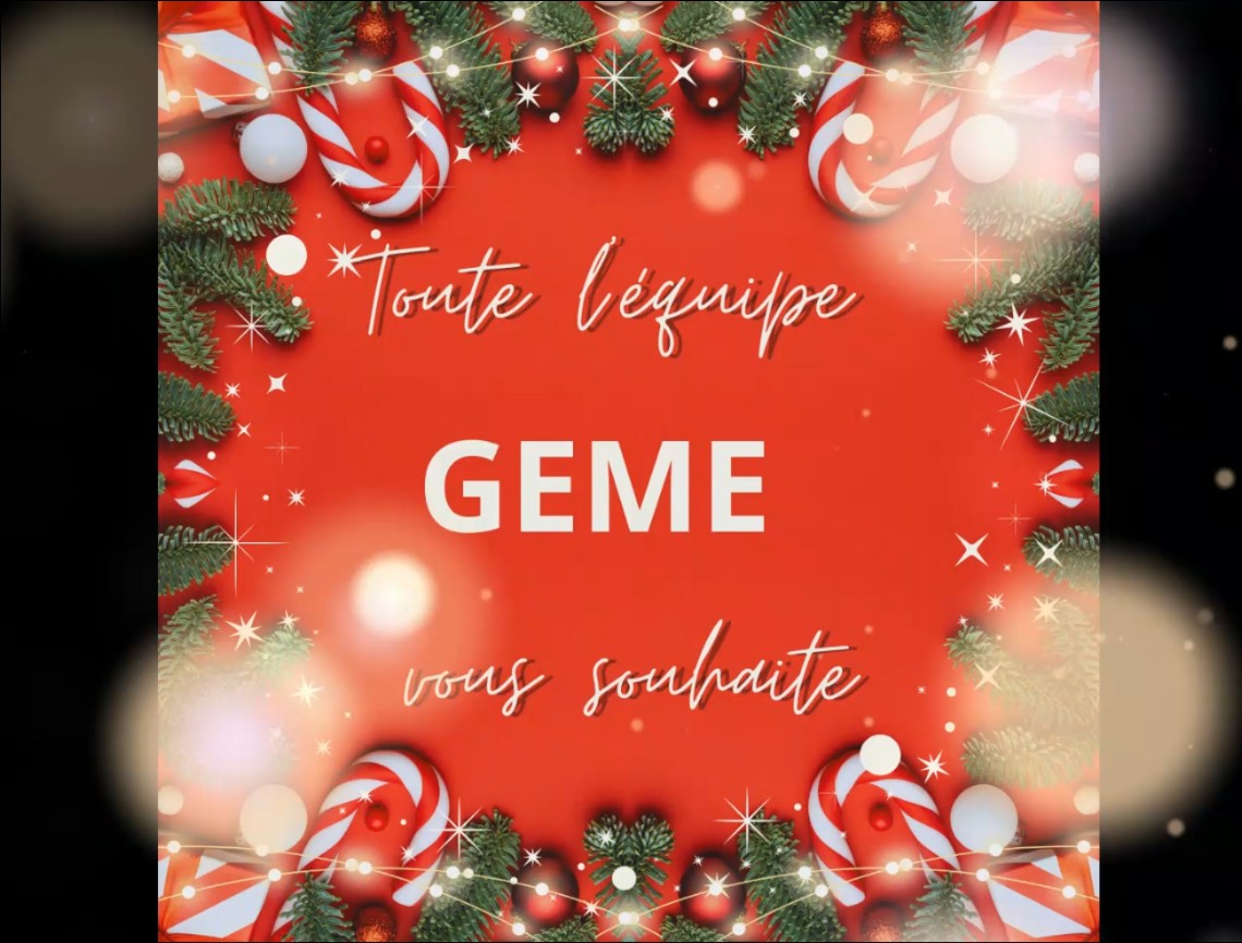 L'équipe GEME vous souhaite un joyeux Noël et une très belle année 2025 ...